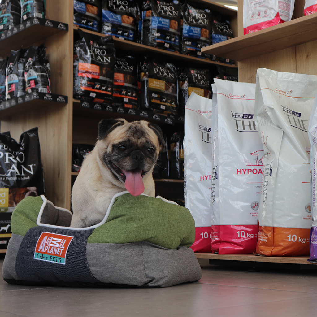 Dr. Pet - Clínica Veterinaria